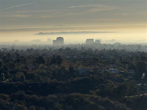 Morning Hike To Kick Off 2025 La In Ribbons Of Sun And Fog I Hope Everyone Is Having A