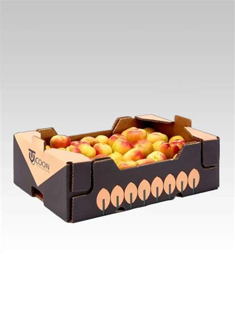 Fruit Corn Packaging Box At Wholesale Packaging Unit