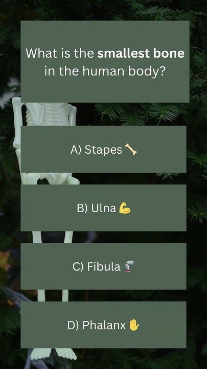 Quizfactfulquiz Funtrivia Learningfun Funquizs Testyourknowledge