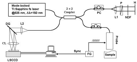 Schematic Of The Fiber Based Sd Oct System Pc Polarization