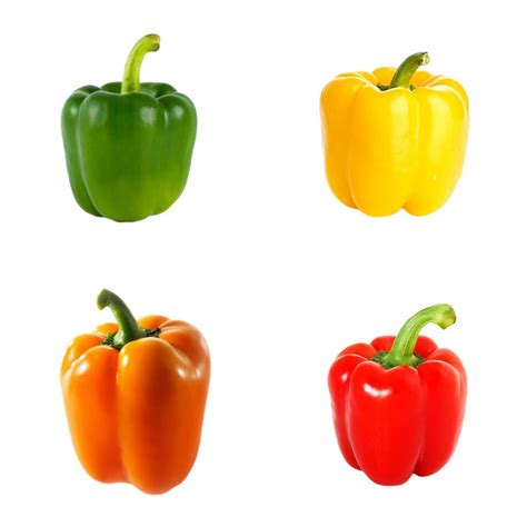 Bell Pepper Clipart Hd Png Bell Peppers Sweet Pepper Colored Crops Bell