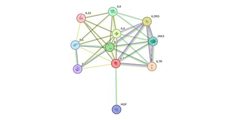 The Il7 Gene And Its Putative Association With Human Ageing