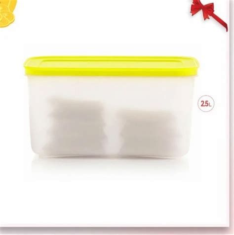 Plastic Tupperware Freezer Boxes 2000 Ml At ₹ 790piece In New Delhi