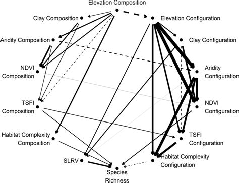 Bayesian Network Structure Of Model At The Scale With The Highest
