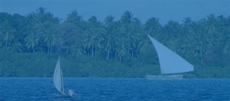 Home Samaki Project