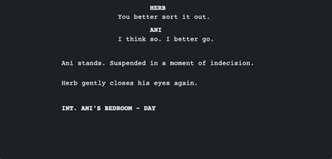 PRO Screenwriting Snippet Write Screenplays In Markdown Fountain Plugin Styling Canvas Index