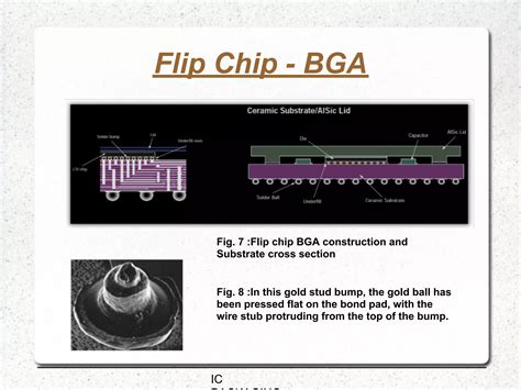 Packaging Types Pdf