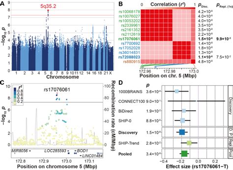 Presentation Of Gwas Results A Manhattan Plot Showing The Strength Of