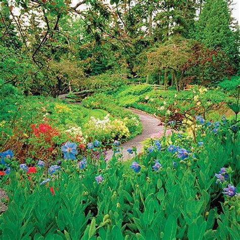 Natural Backyard Landscaping Ideas Save Money Creating Wildlife