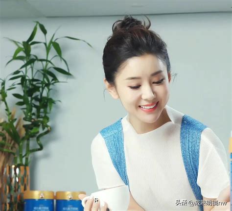 Li Xiaomeng Wang Leis Wife Intellectual And Elegant Gentle