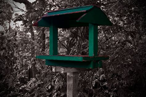 Selective Colour Project On Behance