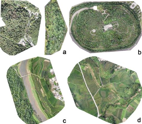 Examples Of Data Acquired By Drones In Each Sampling Site A Sampling