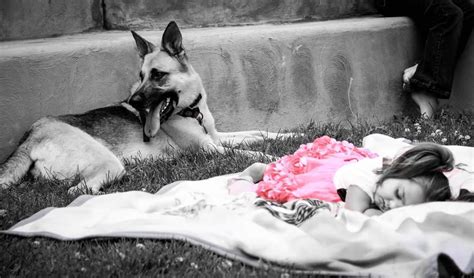 Bella Watching Over Her Tiny Human Scrolller