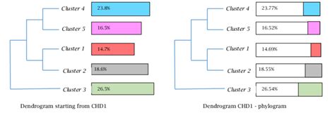 Dendrogram And Cluster Coverage Download Scientific Diagram