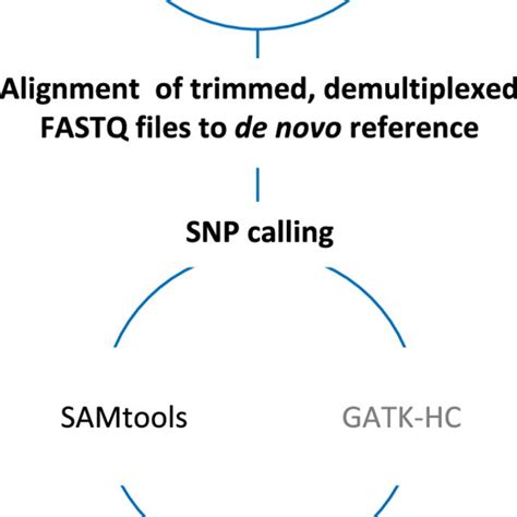 Summary Of The Bioinformatics Pipeline For Calling Snp Variants Download Scientific Diagram