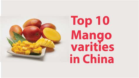 Top 10 Mango Varieties In China Organic Gardener Tips