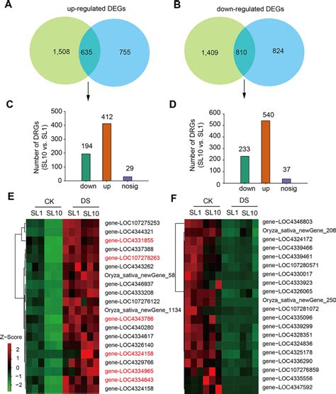 Drought Responsive Genes In Two Shanlan Upland Rice Lines A B Venn Download Scientific Diagram