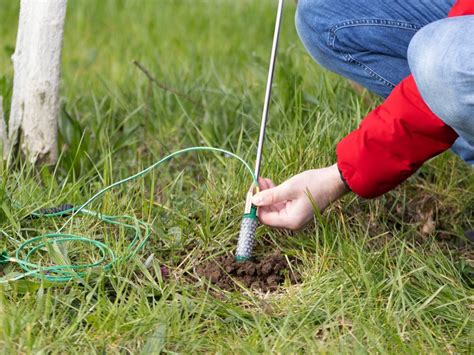 Picus Treetronic Iml Electronic