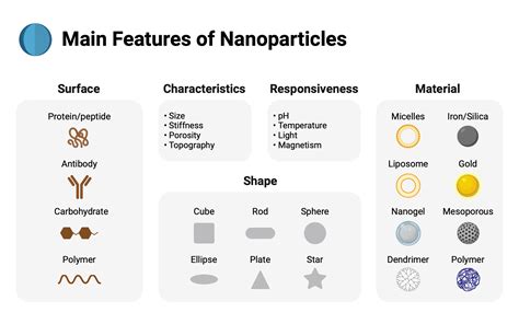 Main Features Of Nanoparticles Biorender Science Templates