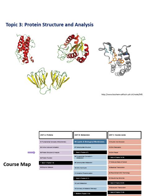 Biochem Topic 3 Pdf Protein Structure Proteins