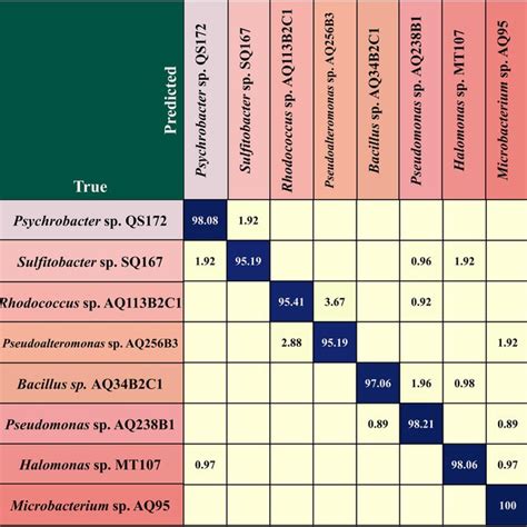 Examples Of Raw And Preprocessed Spectra Examples A Untreated