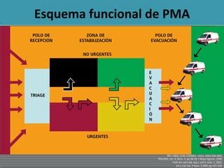 Triage Pdf