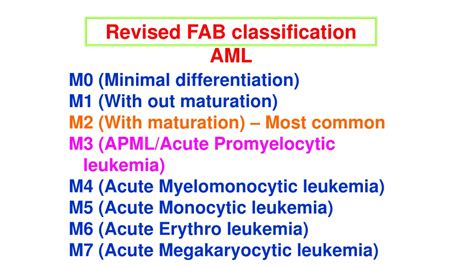 Ppt Myeloid Leukemias Powerpoint Presentation Free Download Id8888251