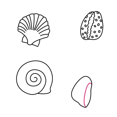Sea Shell Drawing Drawing With Dawn