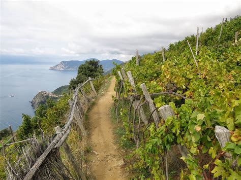Hiking The Cinque Terre Brandonobrien