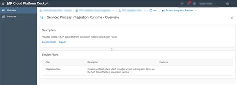 Self Service Enablement Of Cloud Integration Servi Sap Community