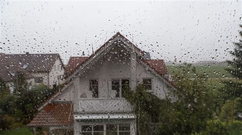 Will Cold Kill Mold Insights About Mold In Winter Mold Zero