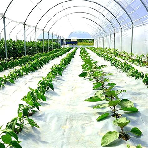 خریدجدیدترین انواع نایلون کشاورزی باکیفیت متنوع