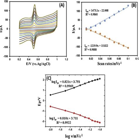 A Cyclic Voltammetry Responses Of The Fabricated Electrode In Pbs