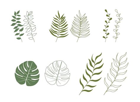 Premium Vector Aesthetic Leaf Vector Art Icon And Graphics