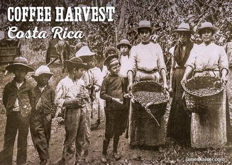 Costa Rican Coffee History Best Beans Top Tours • James Kaiser