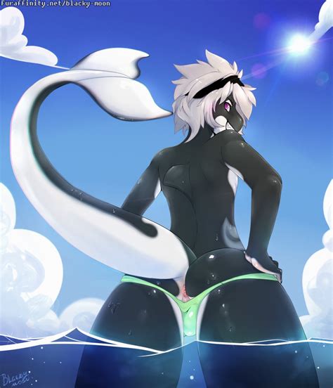 Rule 34 Anthro Anus Ass Balls Blacky Moon Cetacean Cute Fur Looking