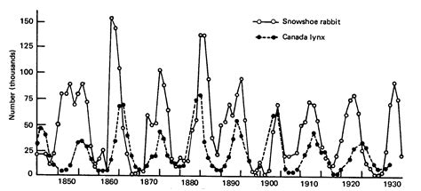 Exemple Of Real Life Non Linear Correlation In Time Series Cross