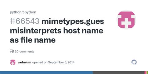 mimetypes guess type misinterprets host name as file