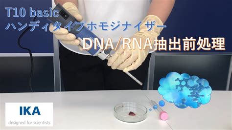 Dnarna抽出前処理 鳥のレバーを分散 Youtube