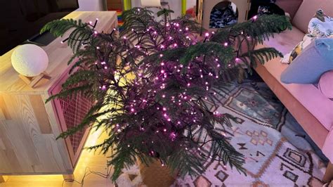 Nanoleaf String Lights Review Macrumors