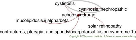Achoo Syndrome Disease Malacards Research Articles Drugs Genes