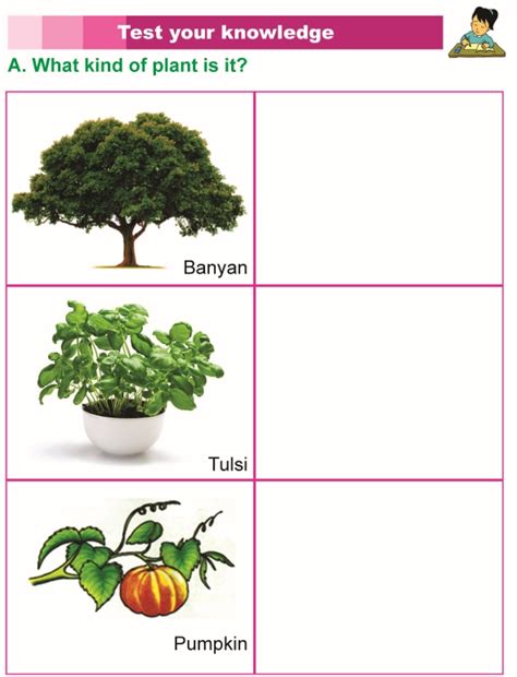 The Plant Kingdom Grade 6 Lesson And Experiments Worksheets Library