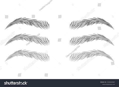 Female Eyebrow Drawing