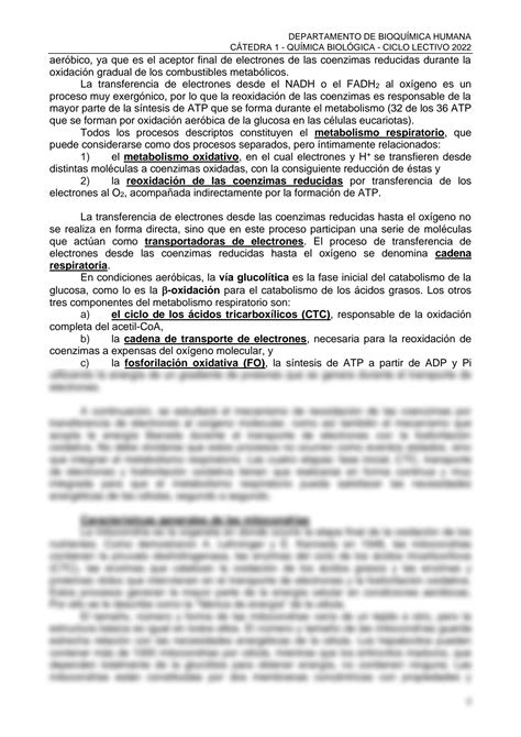 Solution Te Rico Cadena De Transporte De Electrones Fosforilaci N
