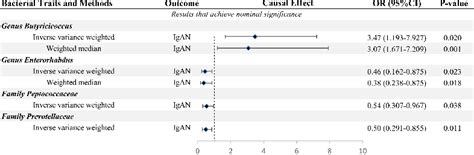 Figure 2 From Causal Effects Between Gut Microbiota And Iga Nephropathy A Bidirectional