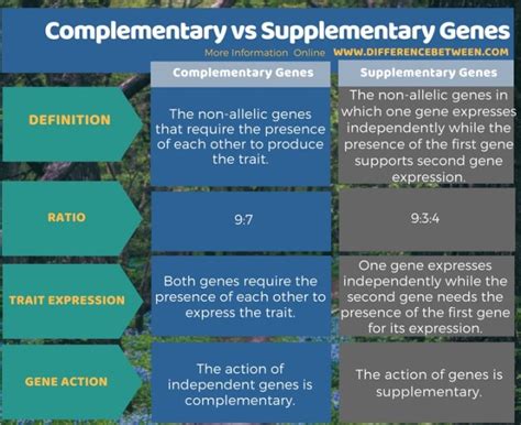 Difference Between Complementary And Supplementary Genes Compare The