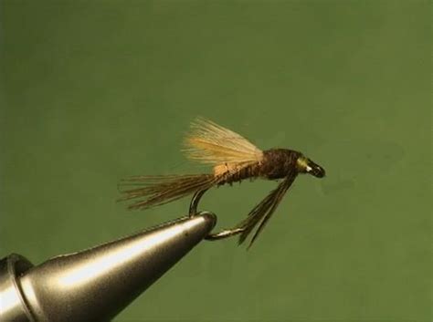 Fly Tying The Emerger Pattern Visualize Swittersb And Exploring