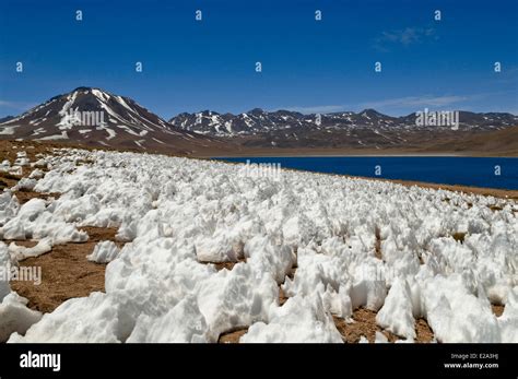 Chile Antofagasta Region Altiplano Atacama Desert Los Flamencos