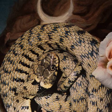 Linder Sterling 7 Things You Need To Know Contemporary Art Sothebys