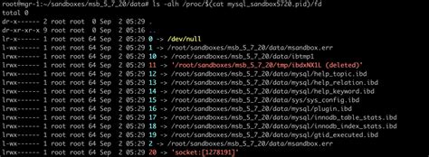 通过linux句柄恢复删除文件 da h 博客园